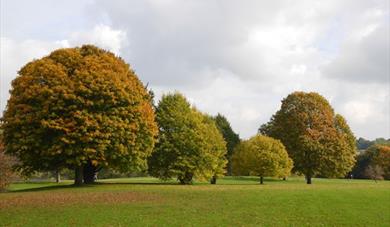 Events in Mote Park - VisitMaidstone.com